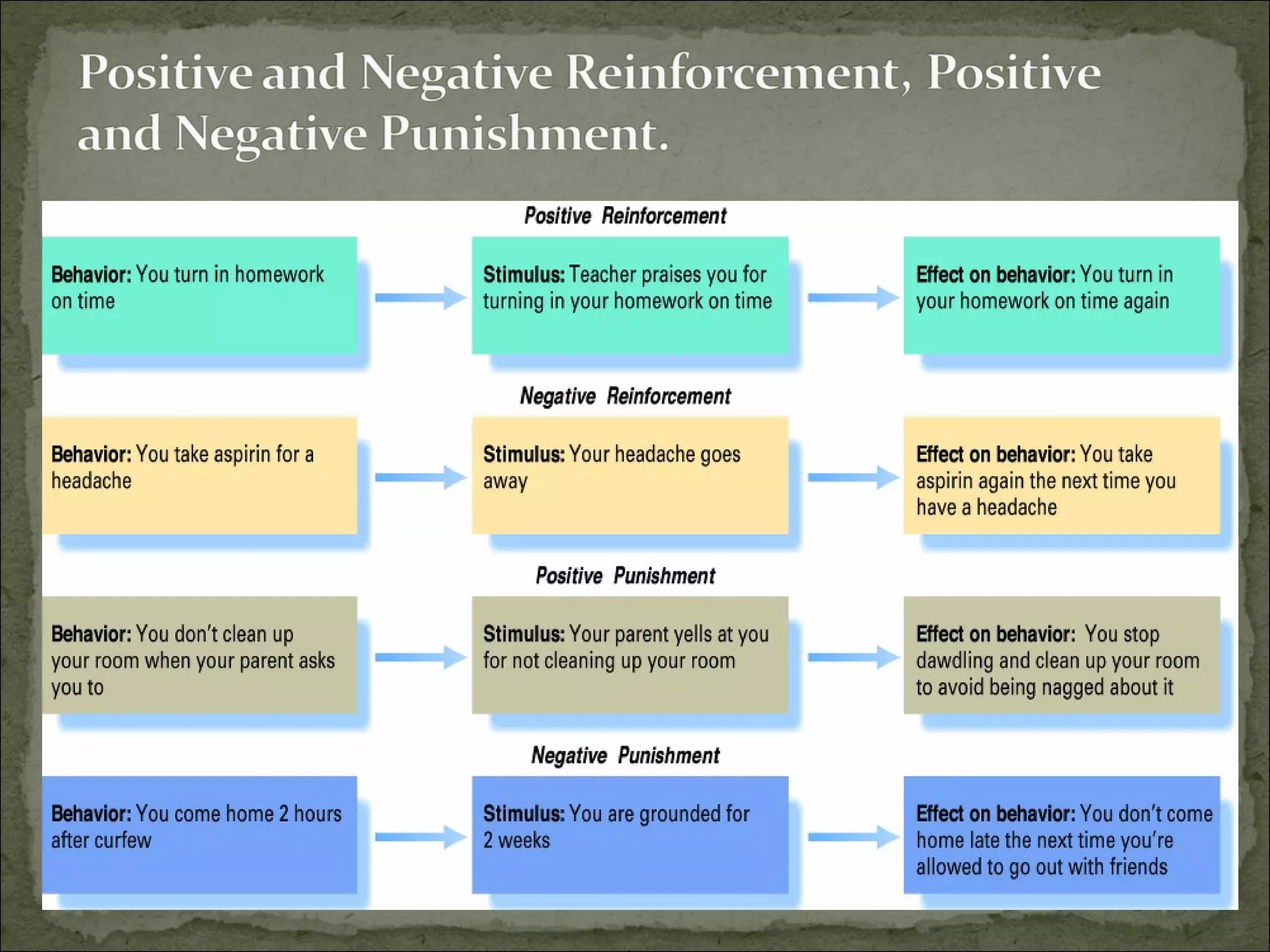 BF Skinner- Operant Conditioning | PPT