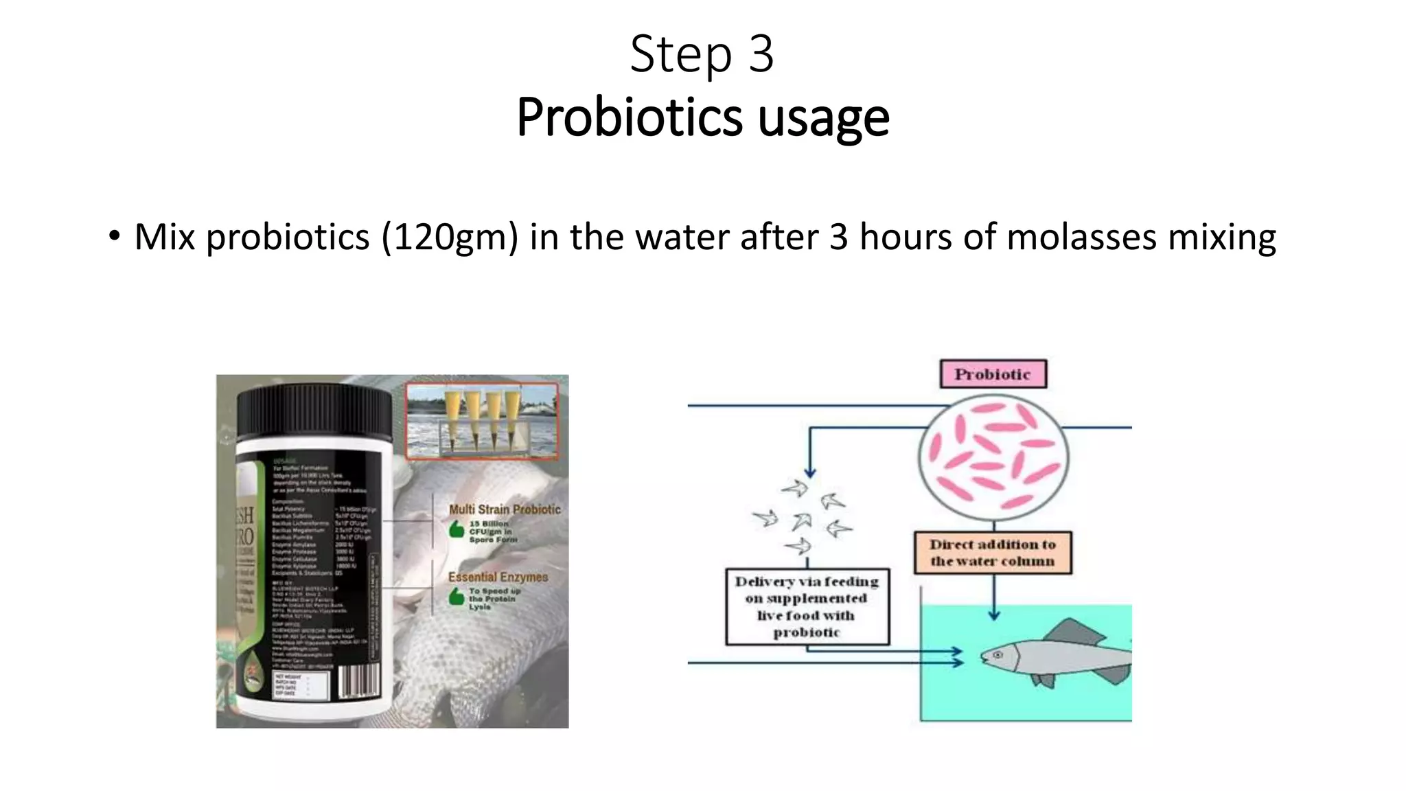 Biofloc Technology | PPTX