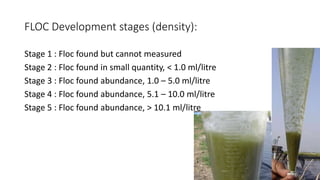 Biofloc Technology | PPTX