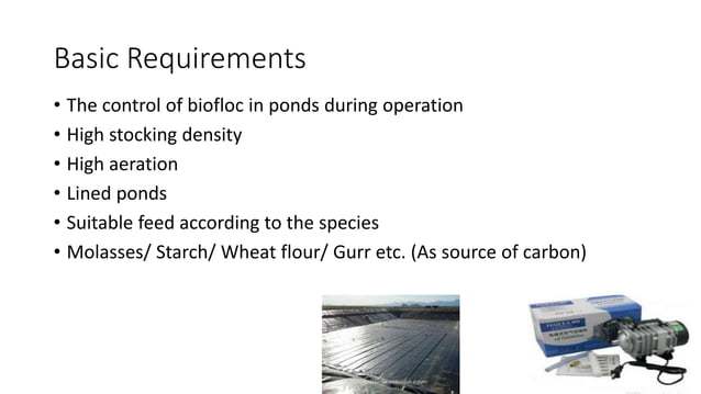 Biofloc Technology | PPTX