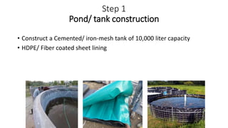 Biofloc Technology | PPTX