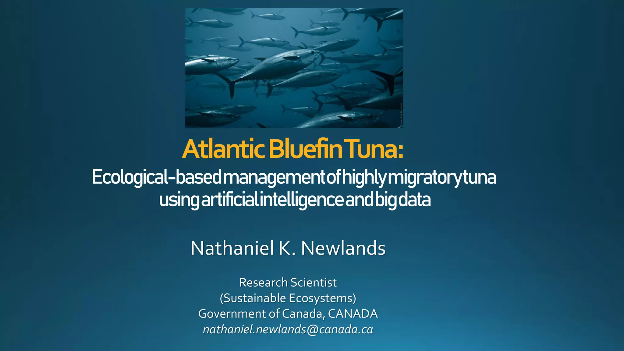 Atlantic Bluefin Tuna: Ecological based management of highly migratory ...