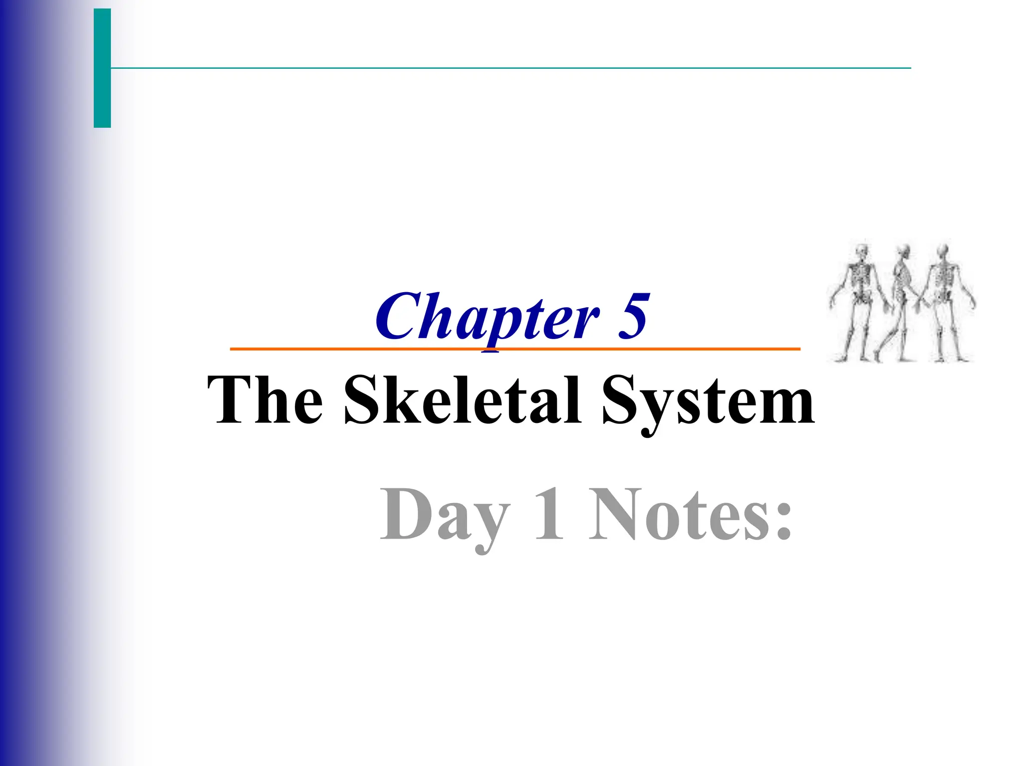 Ch.5skeletalSystem.pptx