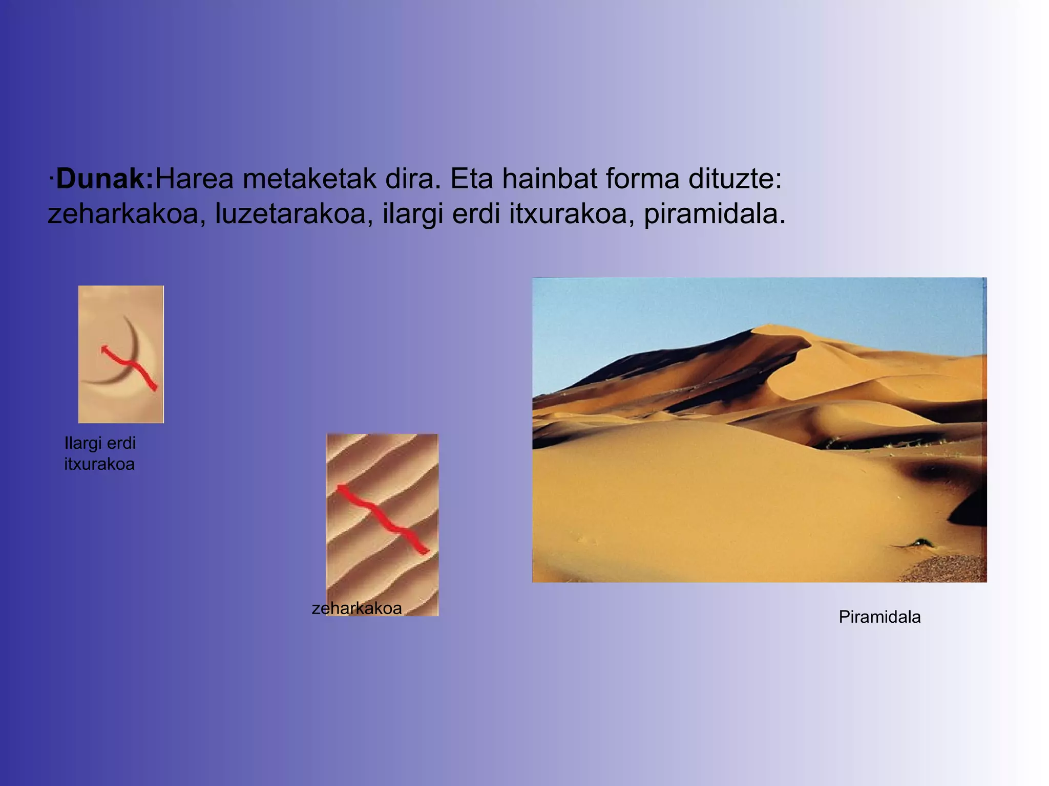 Bg 1 Miriam Helena Presentacion1 Bio | PPT