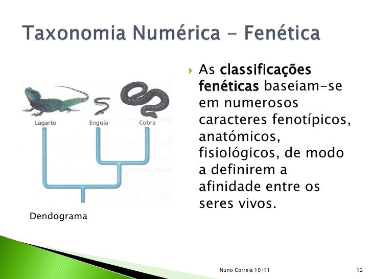 Bg 27 sistemática dos seres vivos