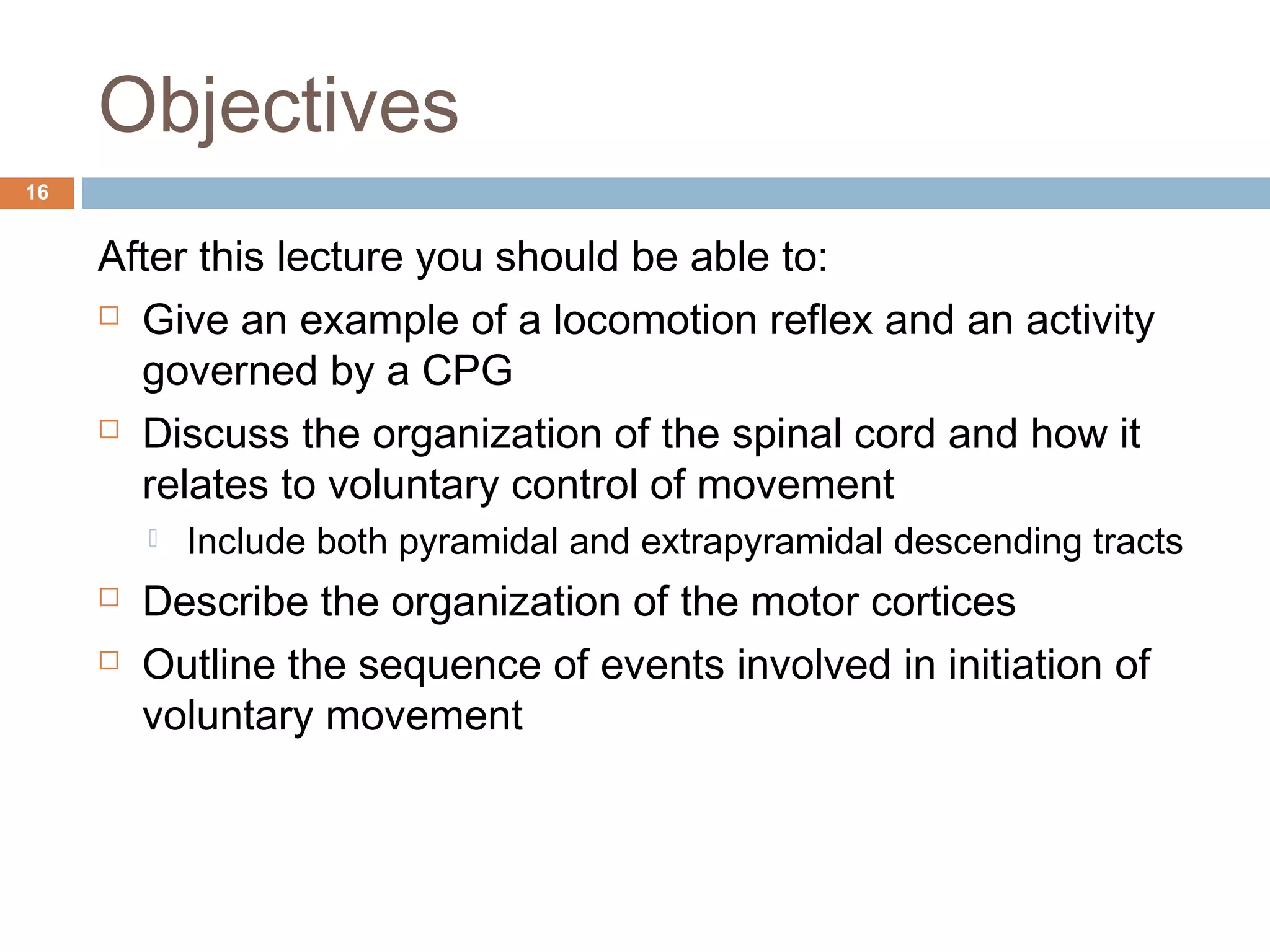 Reflex and Voluntary Control of Movement | PPT