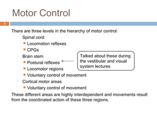 Reflex and Voluntary Control of Movement | PPT