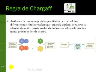 Bg 6 a estrutura da molécula de dna | PDF