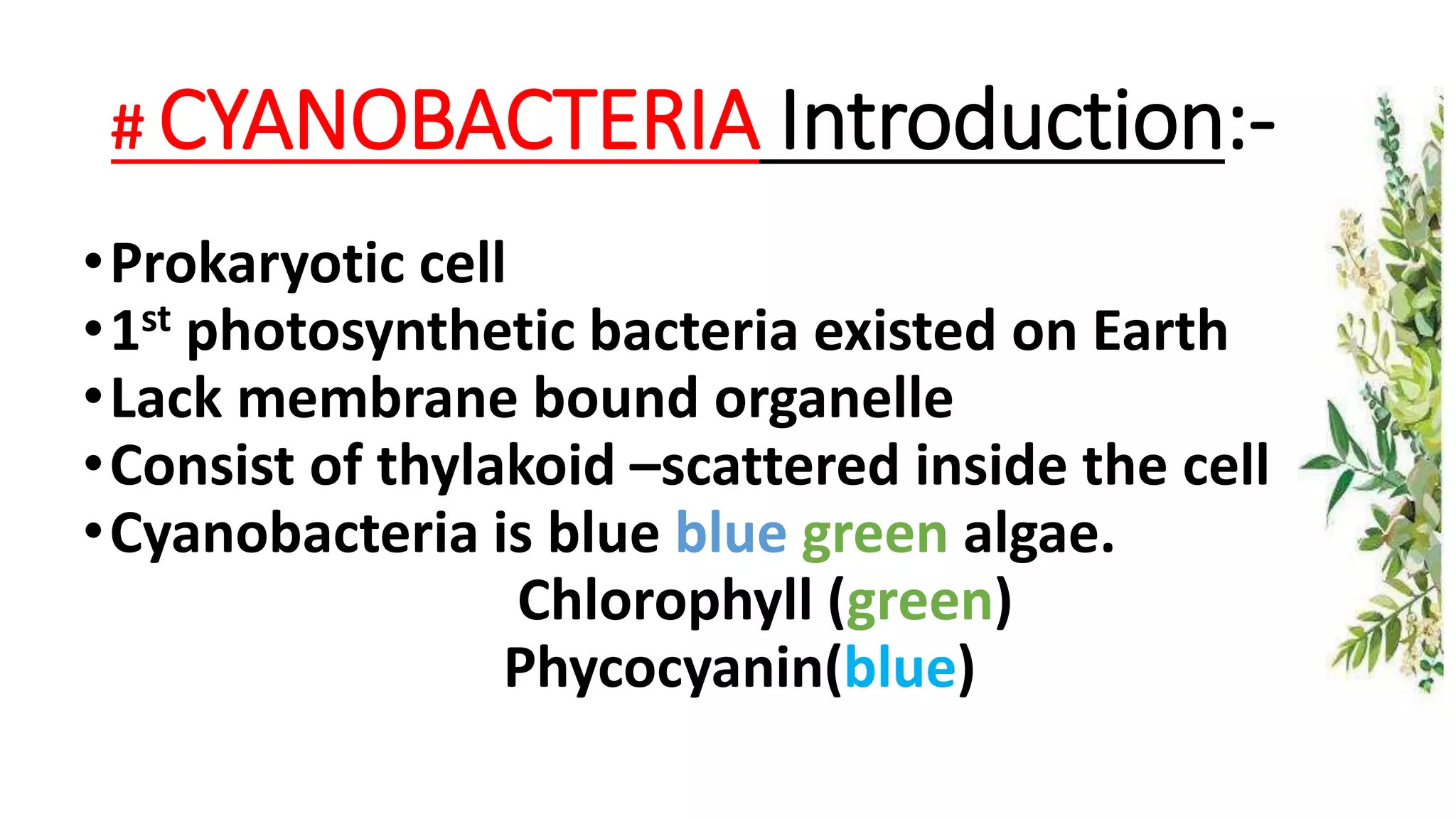 Isolation and purification of Cyanobacteria | PPTX