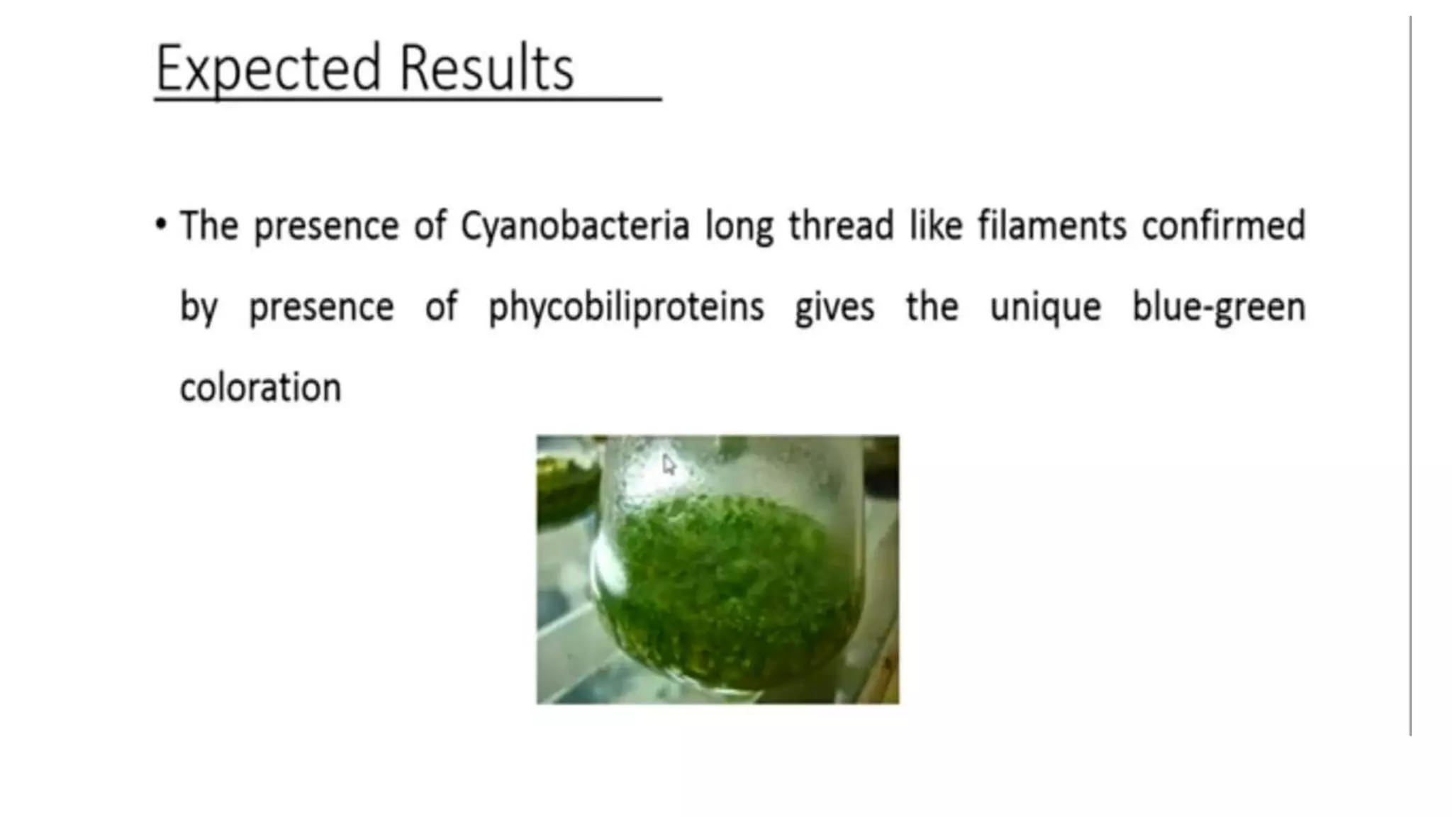 Isolation and purification of Cyanobacteria | PPTX