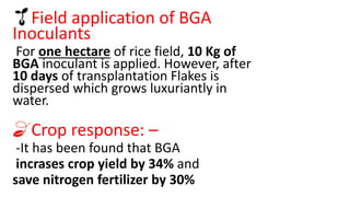 Isolation and purification of Cyanobacteria | PPTX