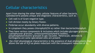 Bga & azolla | PPTX