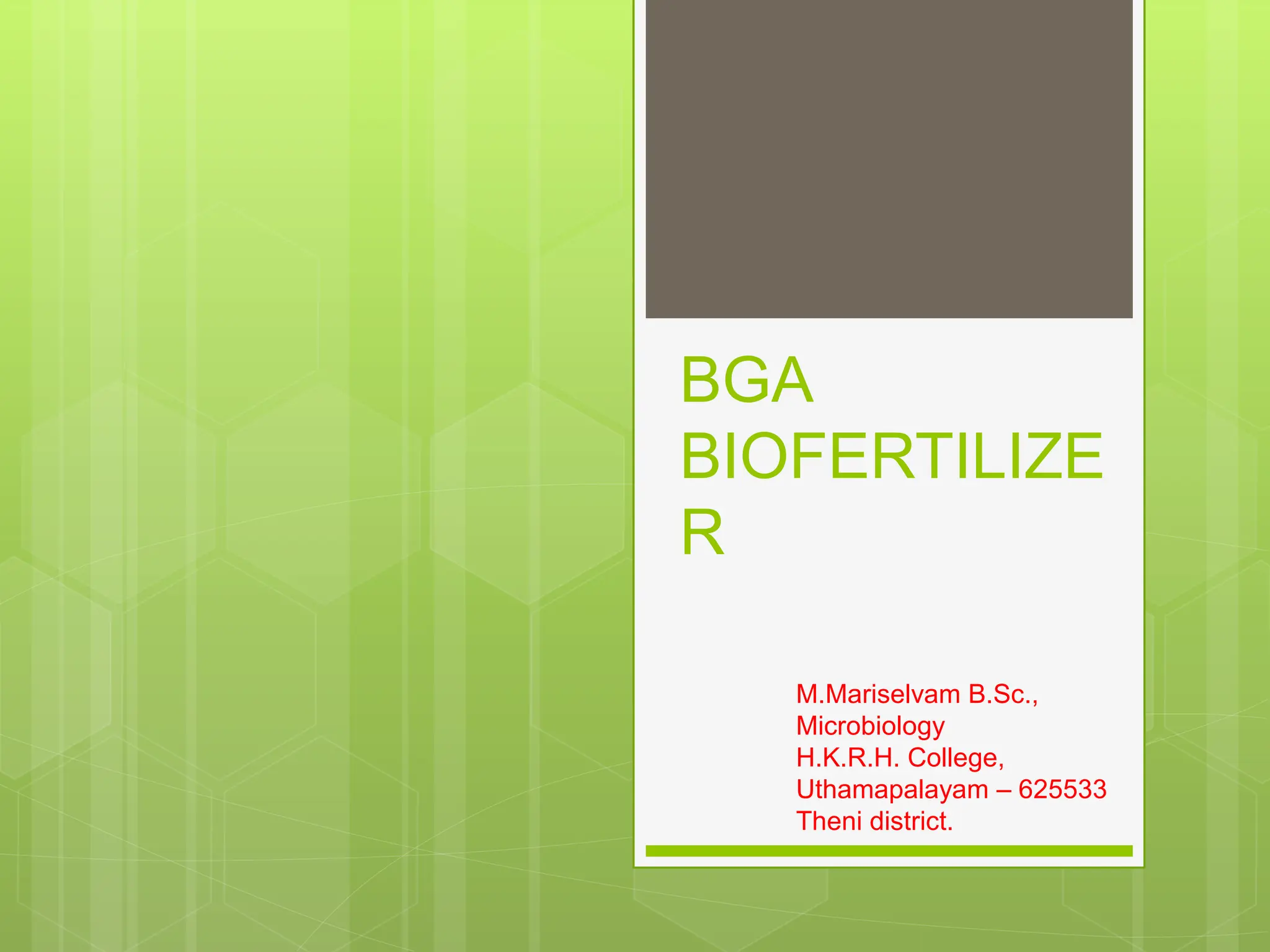 "Unlocking Soil Health: The Power of BGA Bio Fertilizers" | PPTX