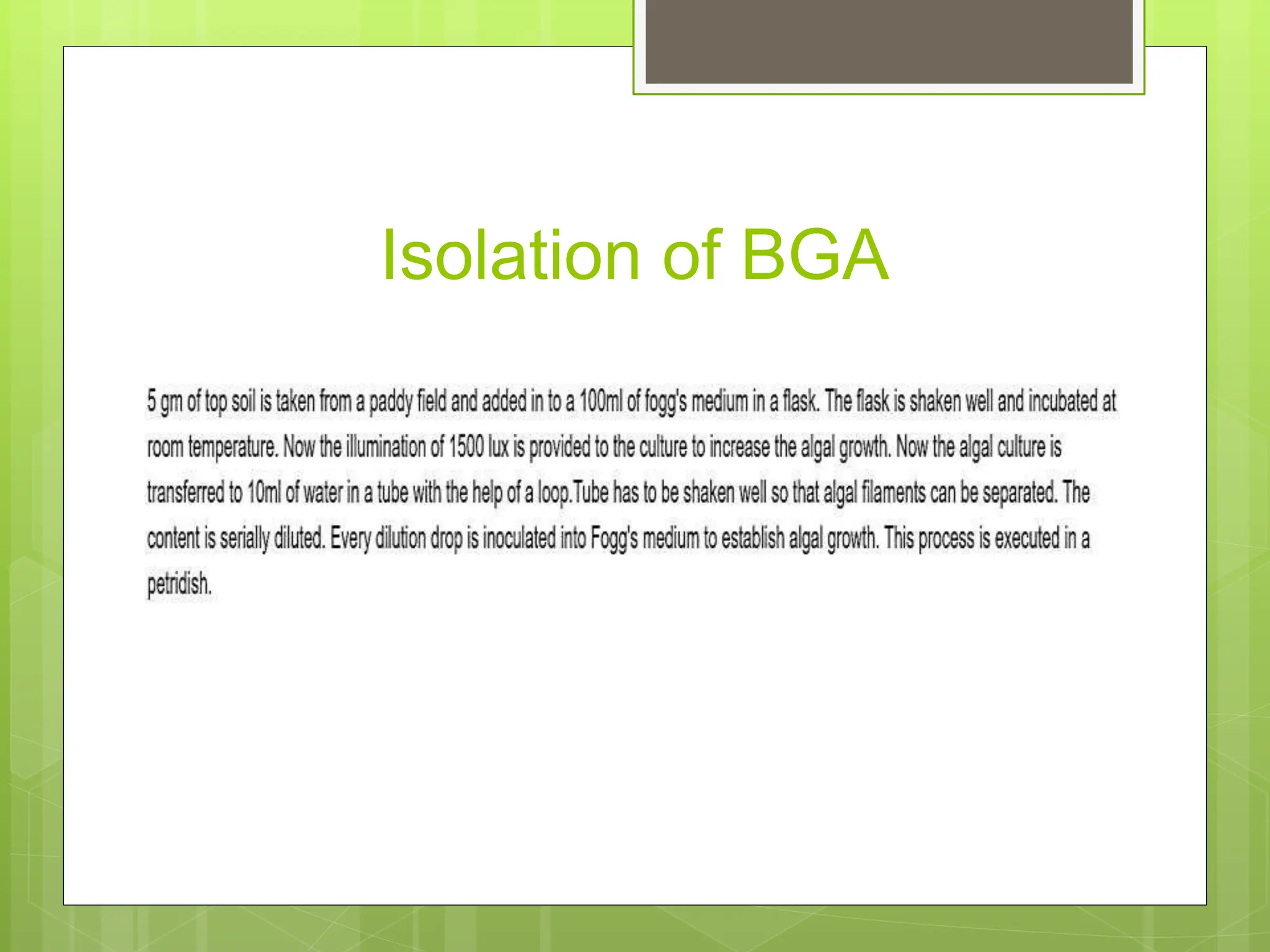 "Unlocking Soil Health: The Power of BGA Bio Fertilizers" | PPTX