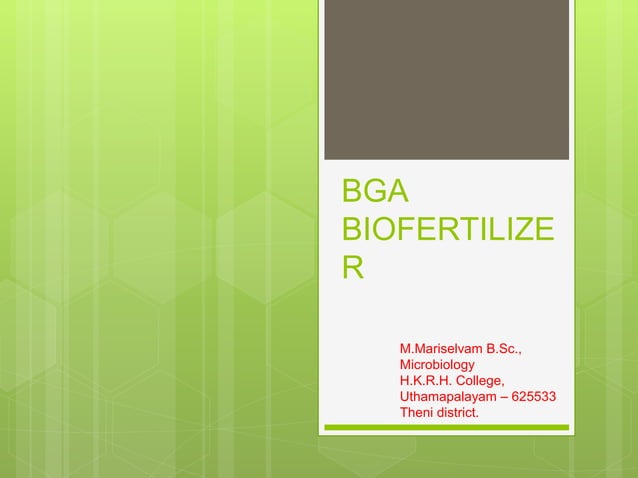 "Unlocking Soil Health: The Power of BGA Bio Fertilizers" | PPTX