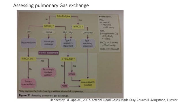 BGA interpretation-Chest in selected location.pptx