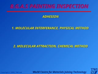 OIL AND GAS PAINTING INSPECTION Bgas-Paint-Tech.ppt