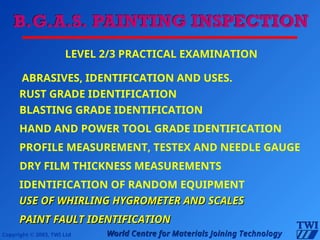 OIL AND GAS PAINTING INSPECTION Bgas-Paint-Tech.ppt