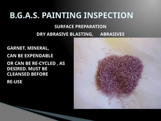 Painting Inspection BGAS Slide Show.pptx