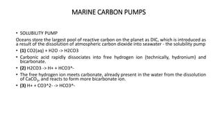 MARINE BIOGEOCHEMICAL CYCLING | PPTX