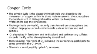 MARINE BIOGEOCHEMICAL CYCLING | PPTX