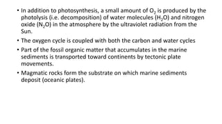 MARINE BIOGEOCHEMICAL CYCLING | PPTX