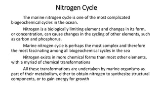 MARINE BIOGEOCHEMICAL CYCLING | PPTX