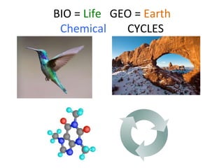 BGC Cycles Overview.pptx