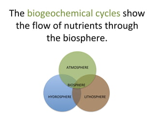BGC Cycles Overview.pptx
