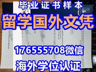 MSVU毕业证 | PDF