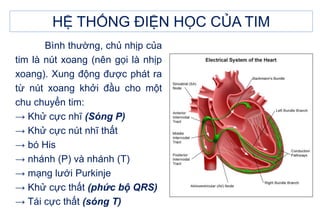 BG LÝ THUYẾT CECIS ECG Y3 2020 rút gọn.ppt