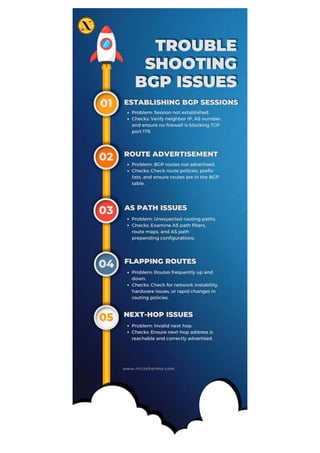 Trouble shooting BGP Issues | PDF