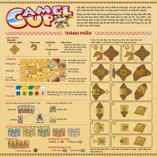 [BoardgameVN] Luật chơi Camel Up - Đua Lạc Đà | PDF