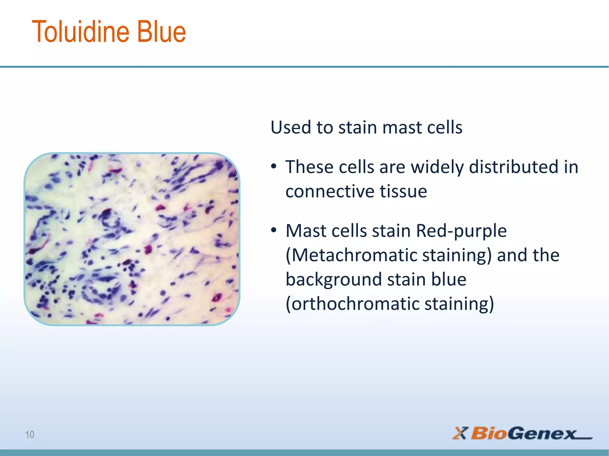 Pathology Special Stains for FFPE Tissue Staining | PPTX