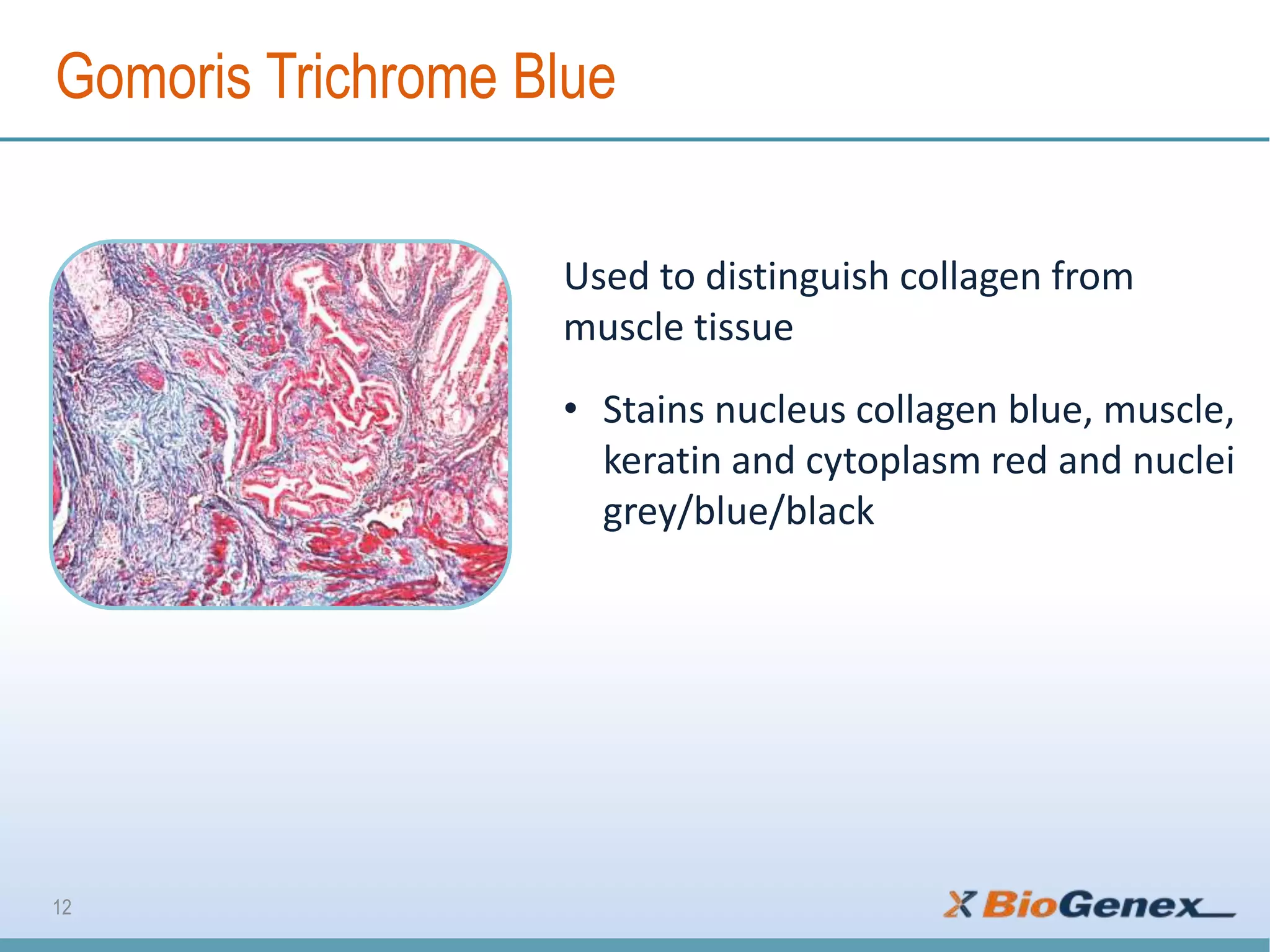 Pathology Special Stains for FFPE Tissue Staining | PPTX