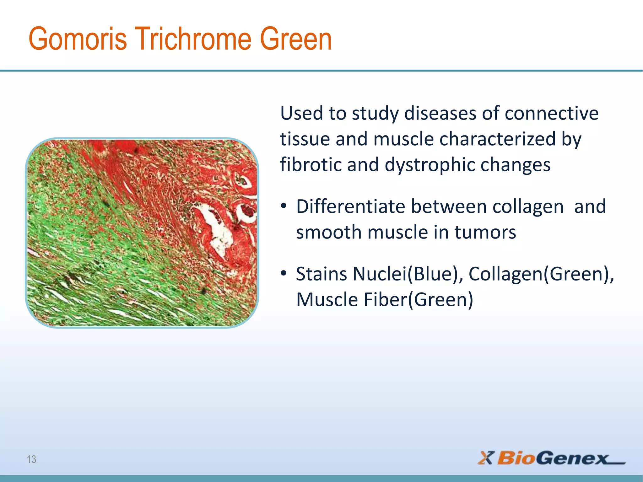 Pathology Special Stains for FFPE Tissue Staining | PPTX