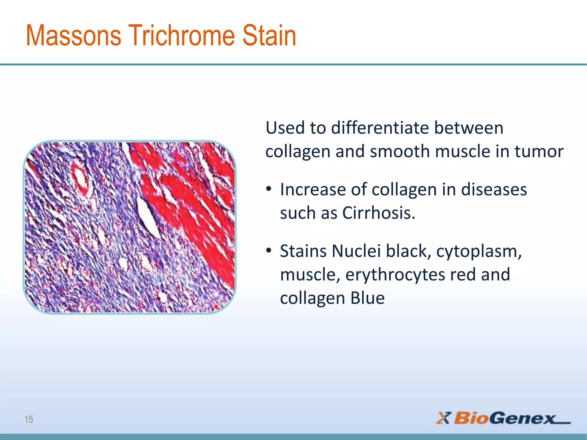 Pathology Special Stains for FFPE Tissue Staining | PPT