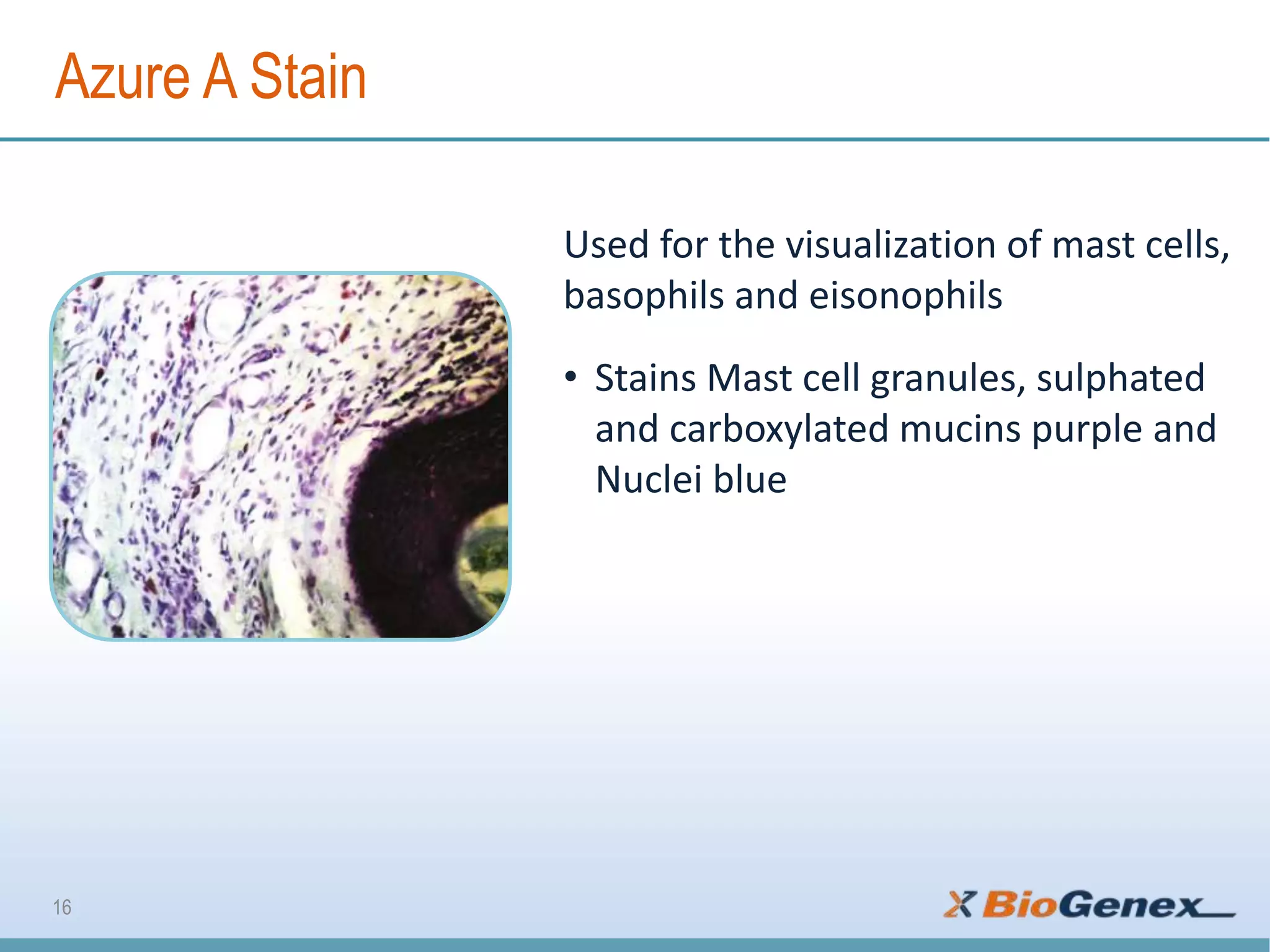 Pathology Special Stains for FFPE Tissue Staining | PPTX