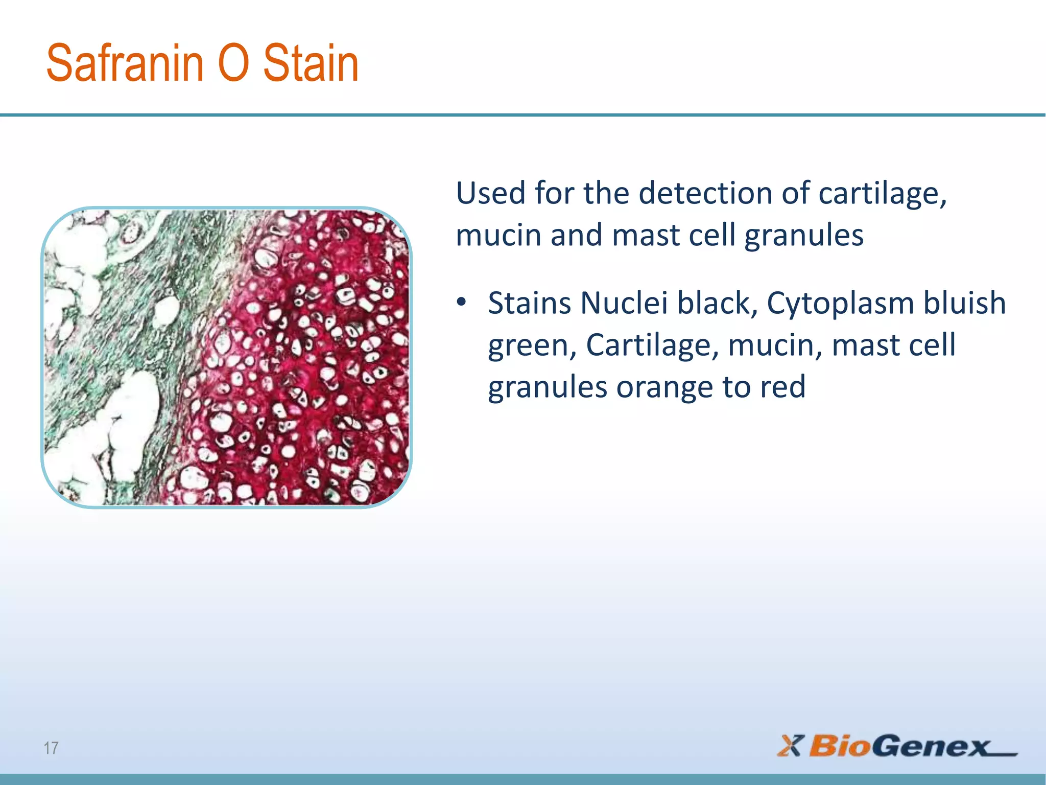 Pathology Special Stains for FFPE Tissue Staining | PPTX