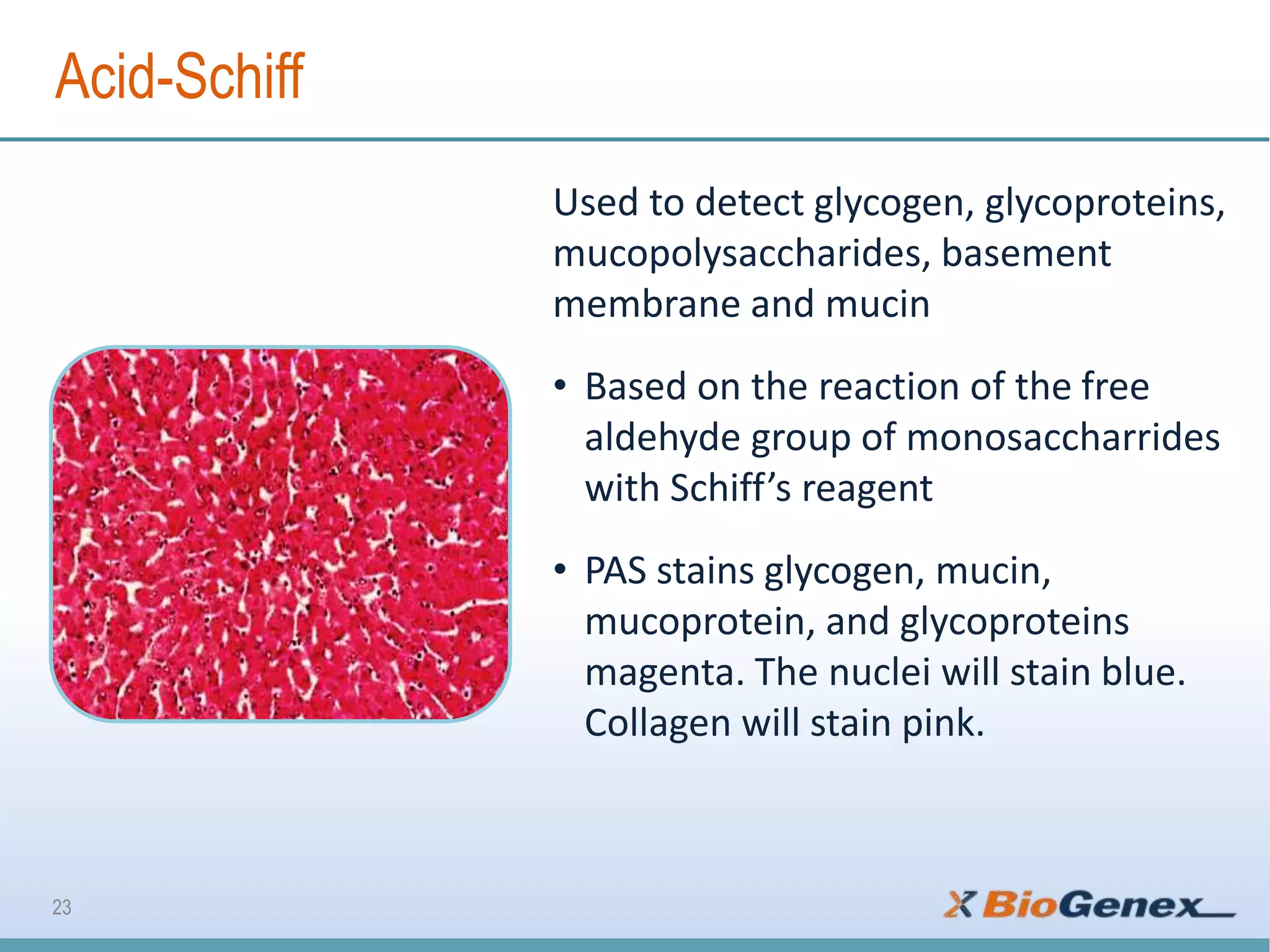 Pathology Special Stains for FFPE Tissue Staining | PPTX