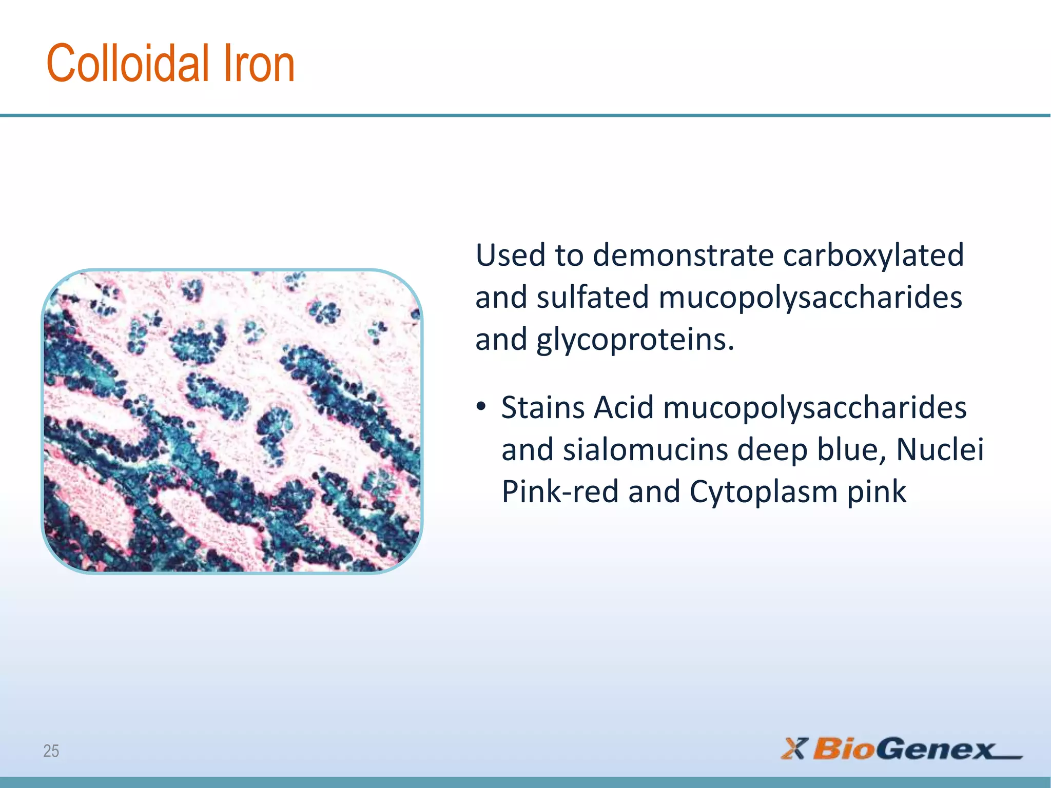 Pathology Special Stains for FFPE Tissue Staining | PPTX