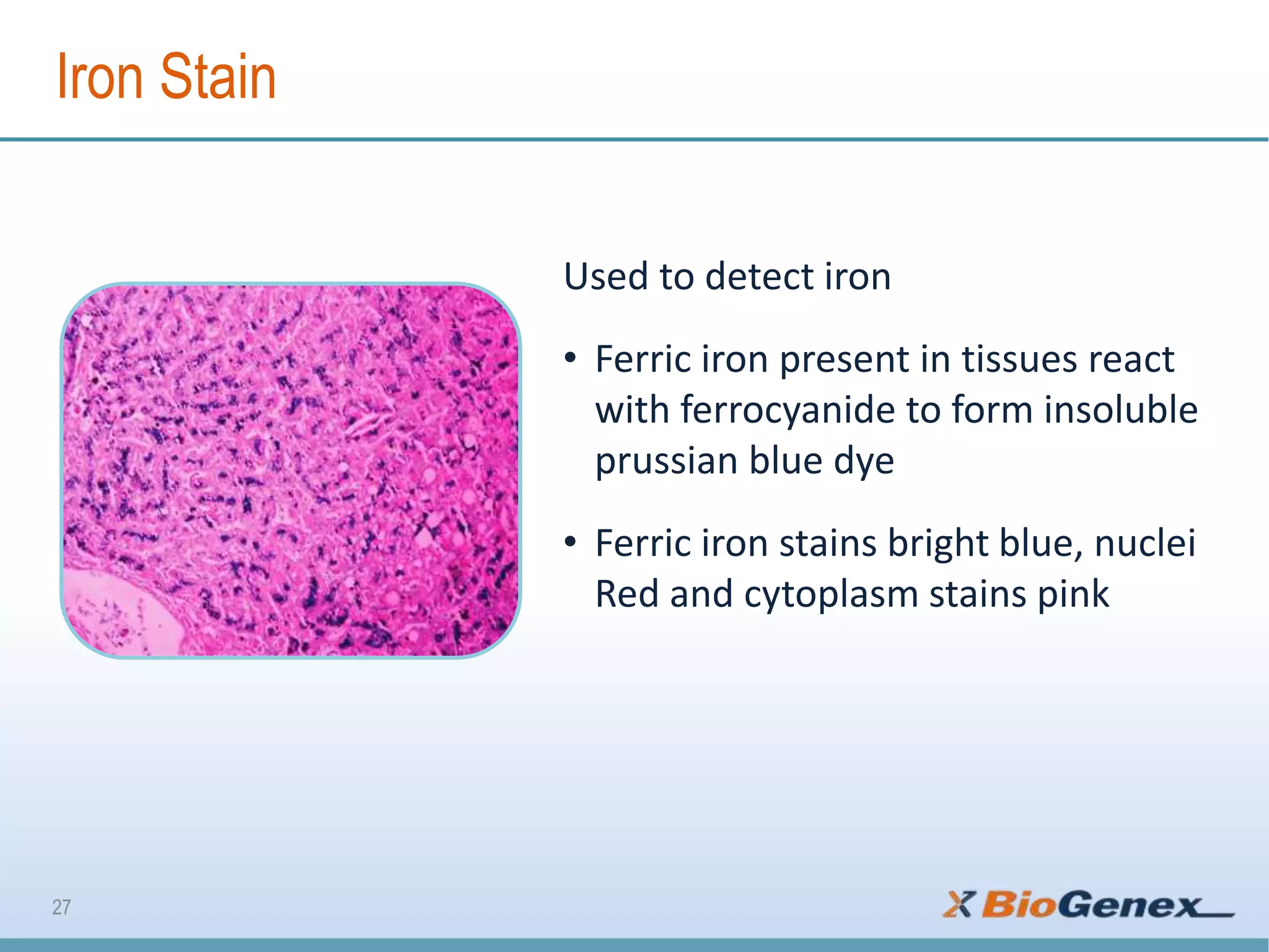 Pathology Special Stains for FFPE Tissue Staining | PPTX