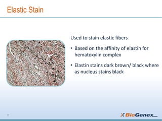 Pathology Special Stains for FFPE Tissue Staining | PPTX
