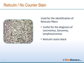 Pathology Special Stains for FFPE Tissue Staining | PPTX
