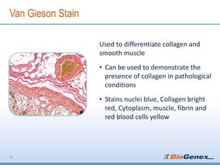 Pathology Special Stains for FFPE Tissue Staining | PPTX