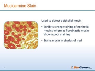 Pathology Special Stains for FFPE Tissue Staining | PPTX