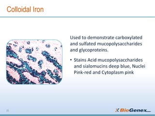 Pathology Special Stains for FFPE Tissue Staining | PPTX