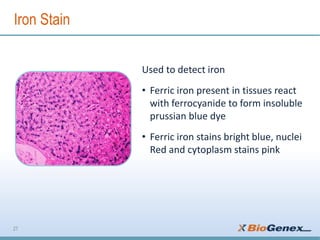 Pathology Special Stains for FFPE Tissue Staining | PPTX