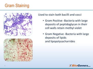 Pathology Special Stains for FFPE Tissue Staining | PPTX