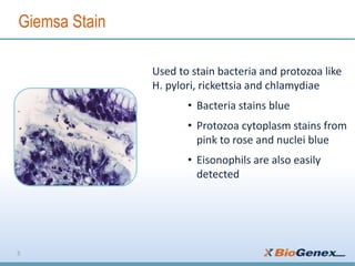 Pathology Special Stains for FFPE Tissue Staining | PPTX